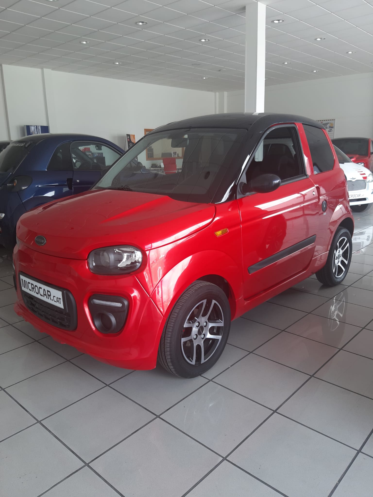 Microcar MGO 6 dynamic - Tallers Atzerà